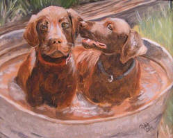 Fine Art of Robin Berry