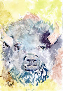 Fine Art of Robin Berry